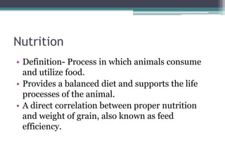 Animal nutrition wiki | PPTX