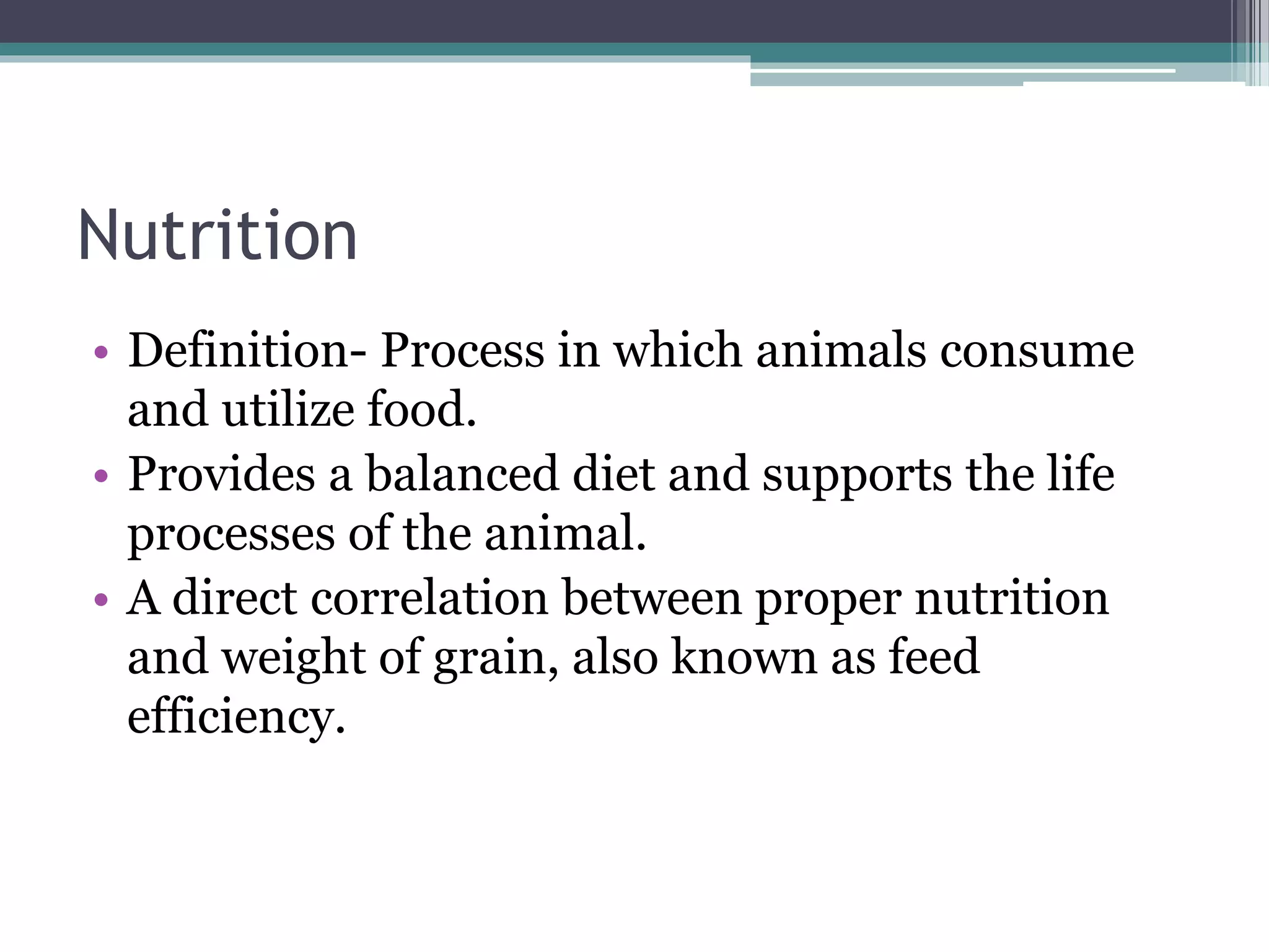 Animal nutrition wiki | PPTX