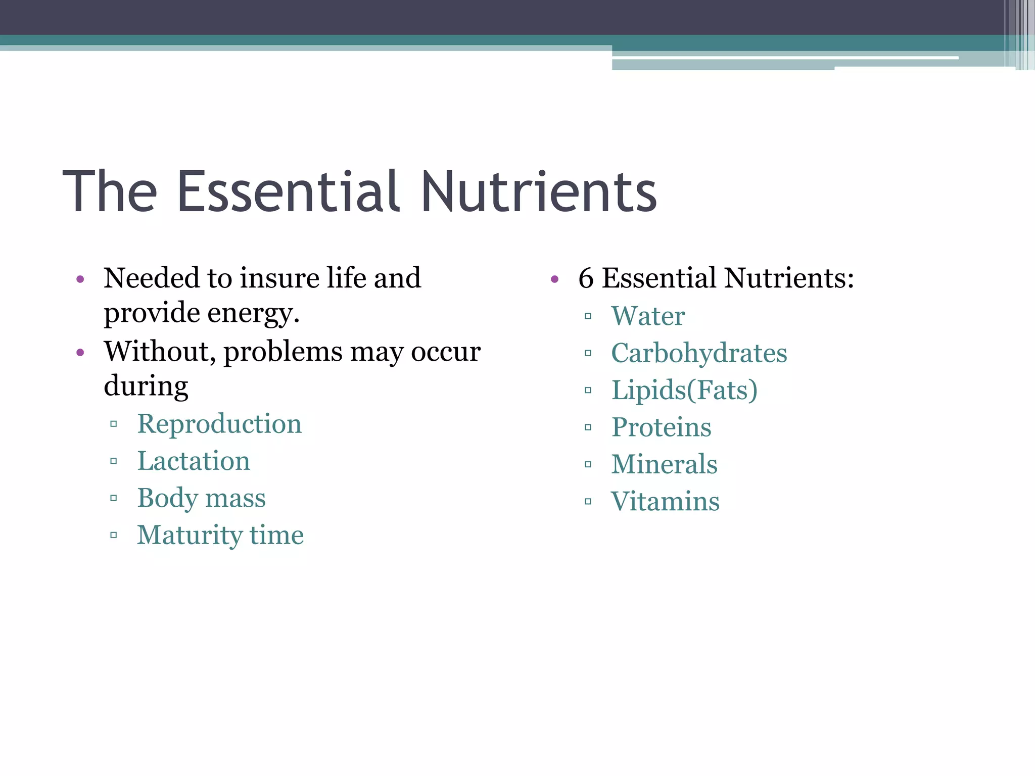Animal nutrition wiki | PPTX