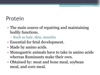 Animal Nutrition Wiki | PPTX