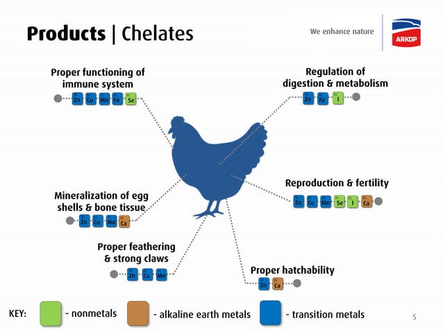 Role of Zinc in animal nutrition | PDF | Nutrition | Healthy Living