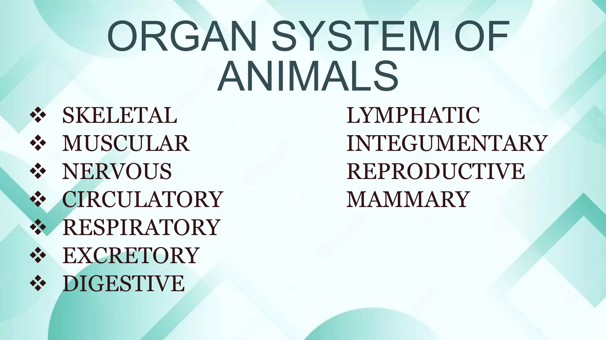 Animal Organ System.pptx