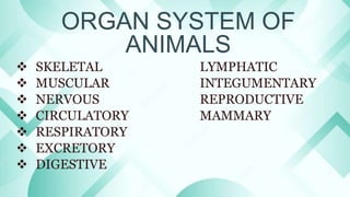 Animal Organ System.pptx