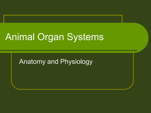 animalorgansystems-111128150618-phpapp01.pptx