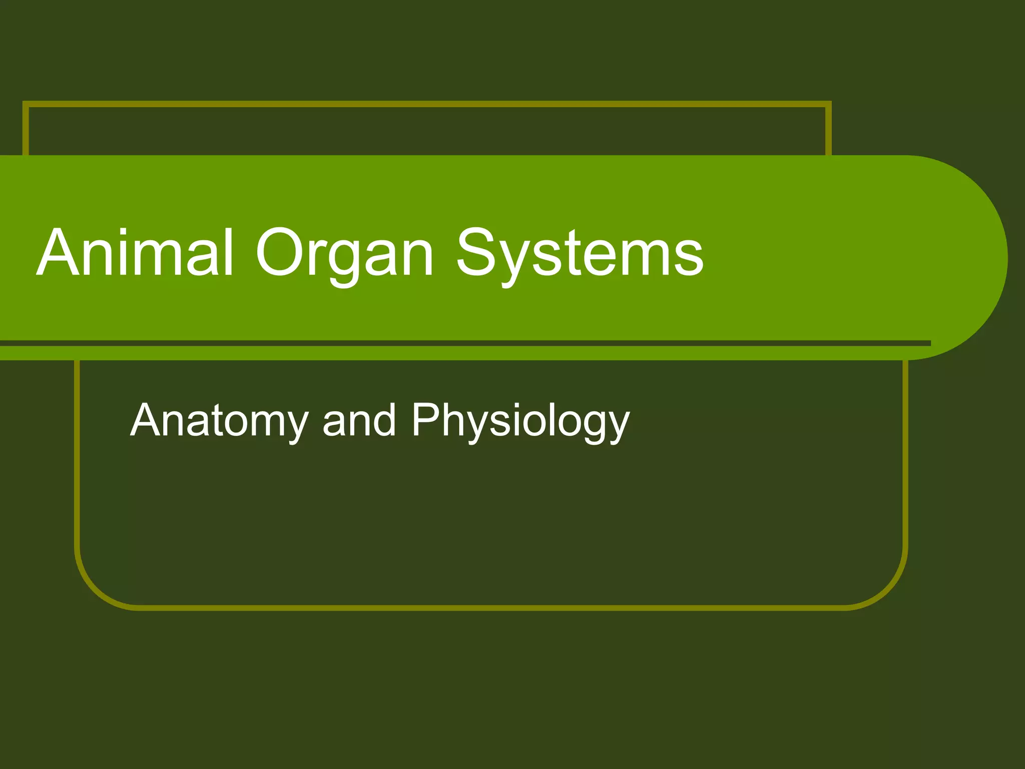 Animal organ systems | PPTX