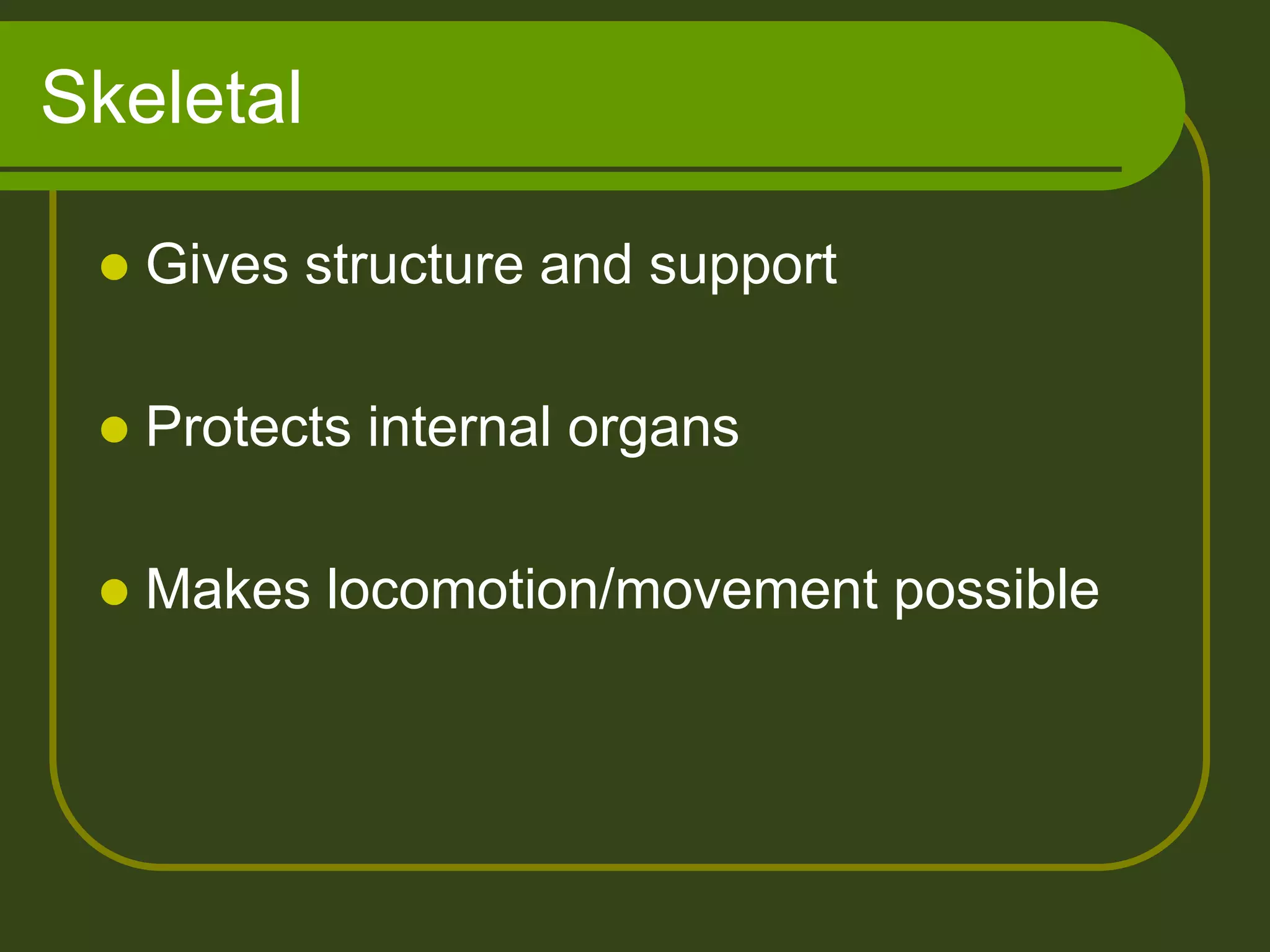 Animal organ systems | PPTX
