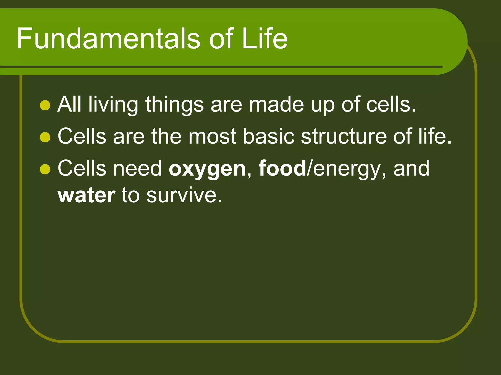 Animal organ systems | PPTX