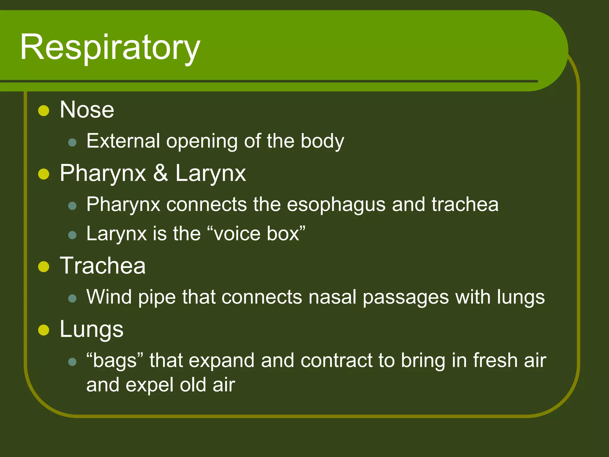 Animal organ systems | PPTX