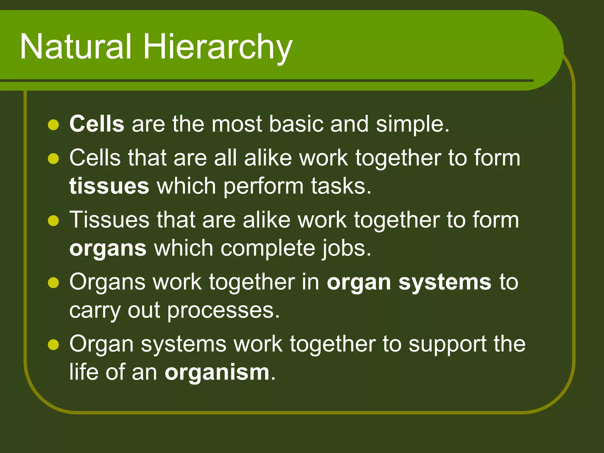 Animal organ systems | PPTX