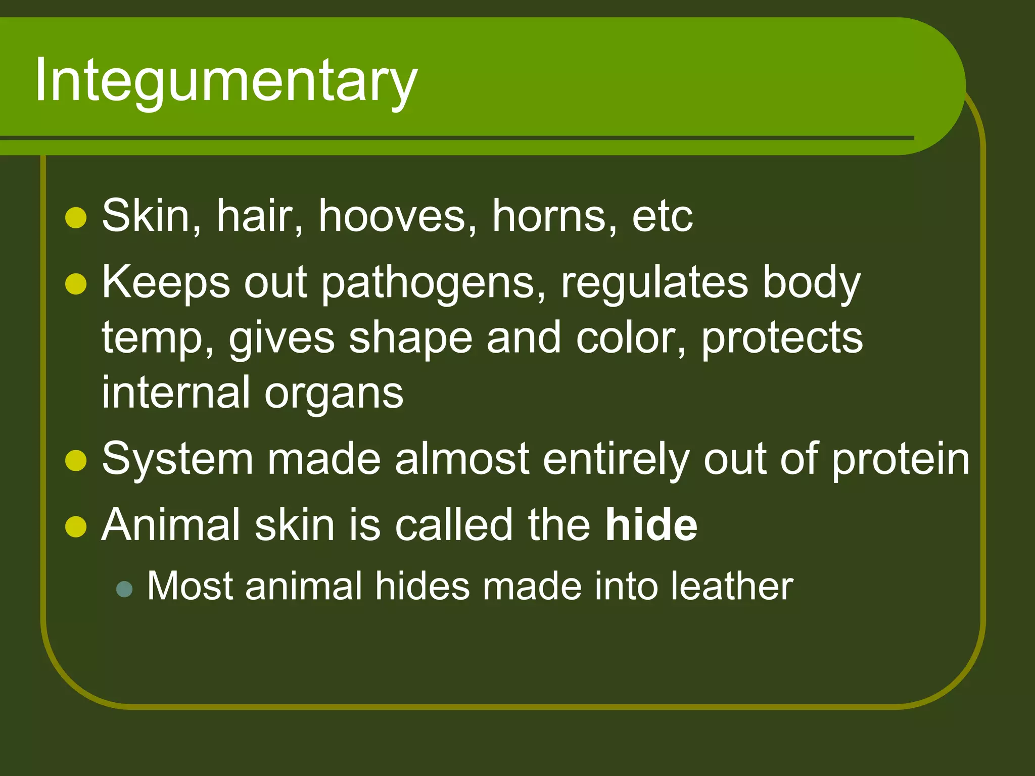 Animal organ systems | PPTX