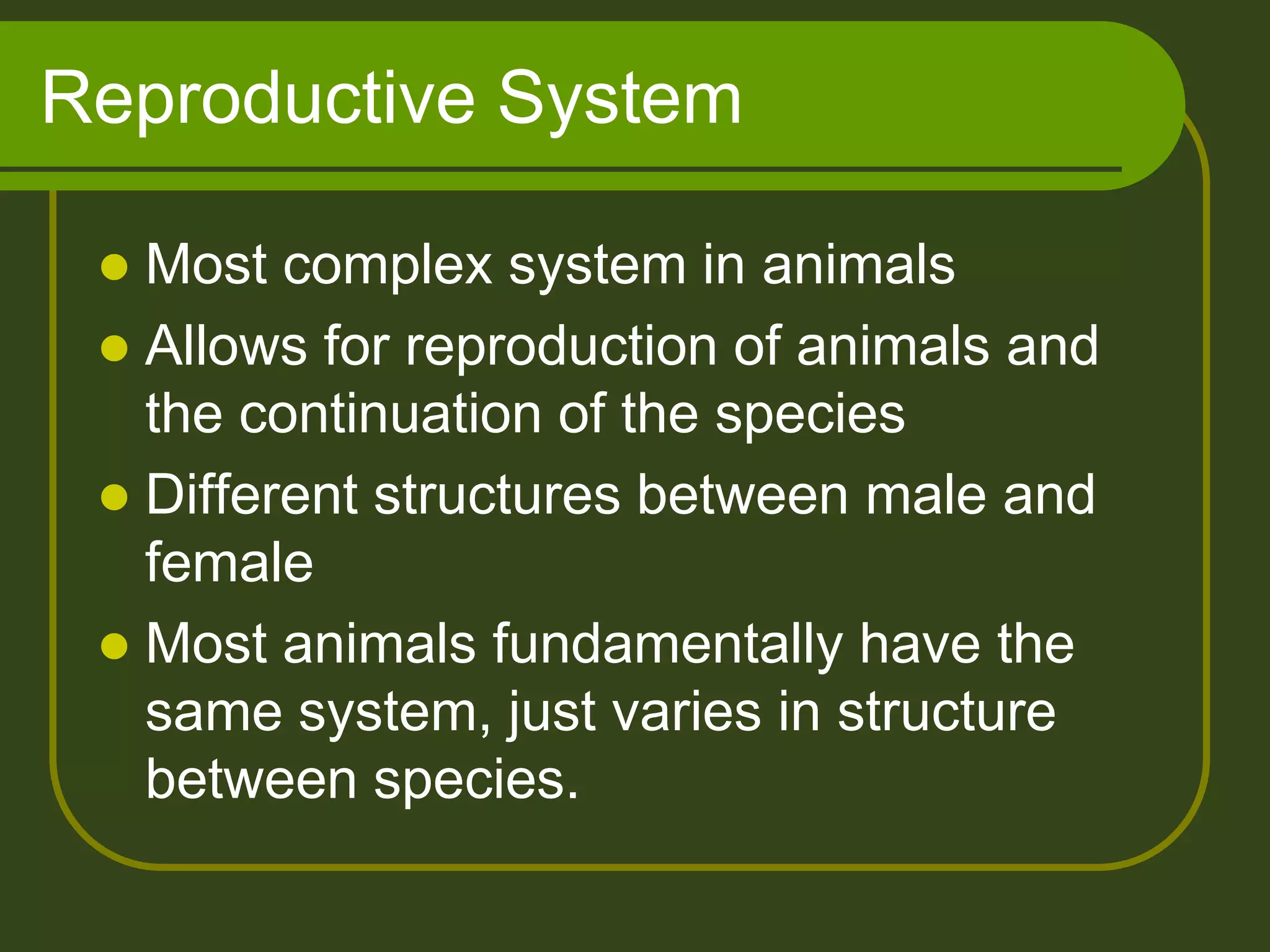 Animal organ systems | PPTX