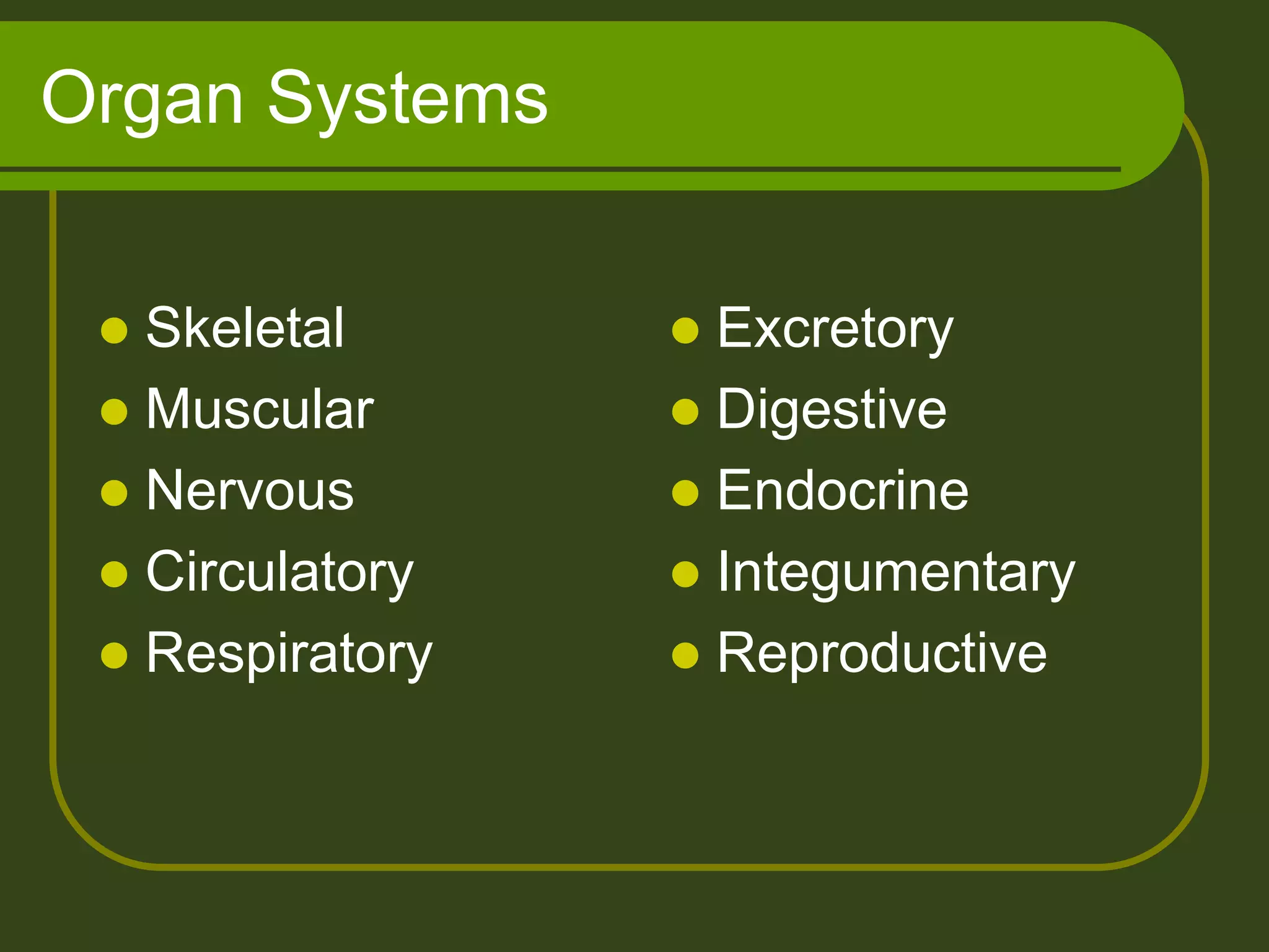 Animal organ systems | PPTX