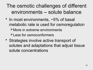 Animal Osmoregulation and excretion.pptx