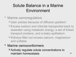 Animal Osmoregulation and excretion.pptx