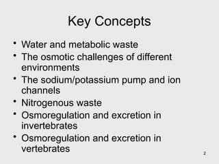 Animal Osmoregulation and excretion.pptx