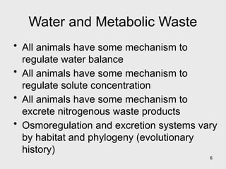 Animal Osmoregulation and excretion.pptx