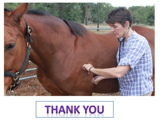 Animal parameters | PPTX