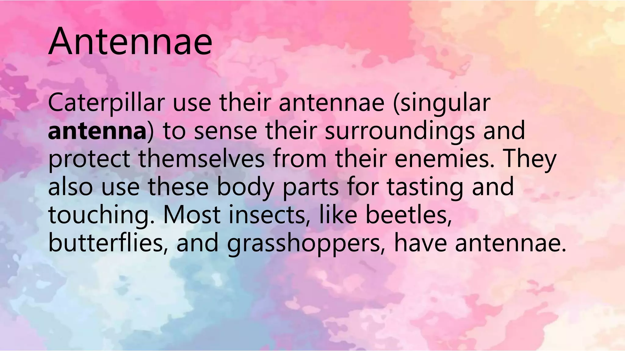 Animal parts and their functions | PPTX