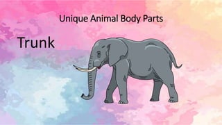 Animal parts and their functions | PPTX