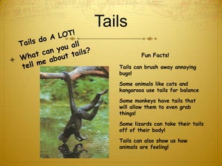 Animal parts ppt | PPTX