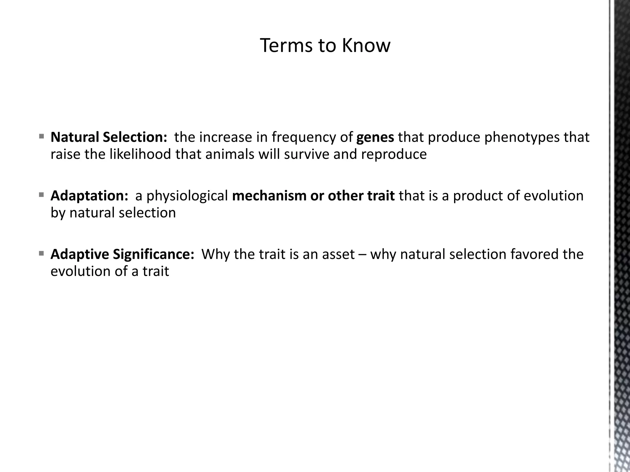 Animal Physiology chapter 1 | PPTX