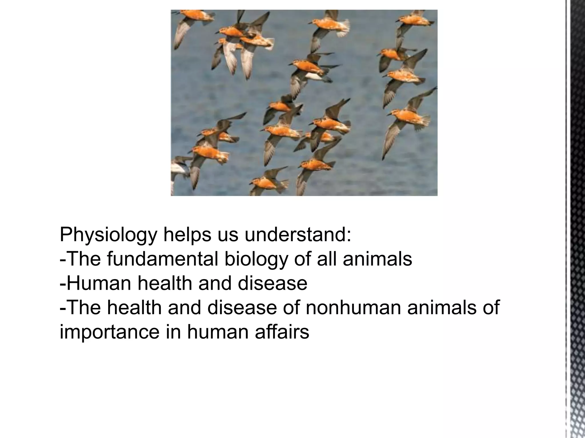 Animal Physiology chapter 1 | PPTX