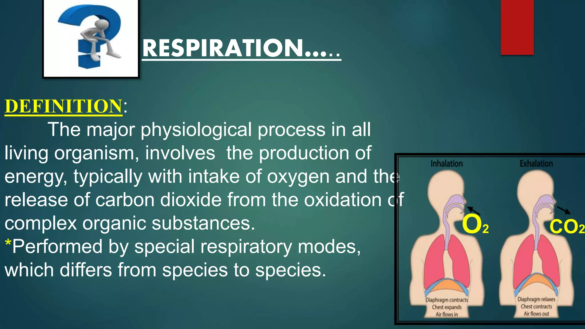 Animal physiology(Respiration) | PPTX | Ear, Nose and Throat Conditions ...