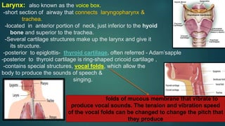 Animal physiology(Respiration) | PPTX