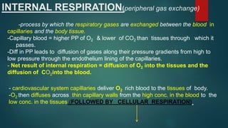 Animal physiology(Respiration) | PPTX