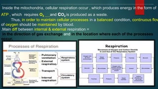 Animal physiology(Respiration) | PPTX