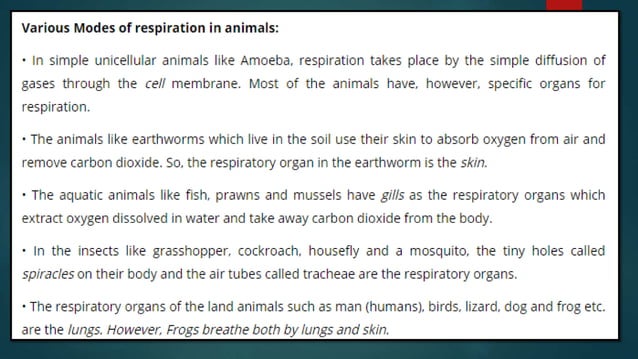 Animal physiology(Respiration) | PPTX | Ear, Nose and Throat Conditions ...