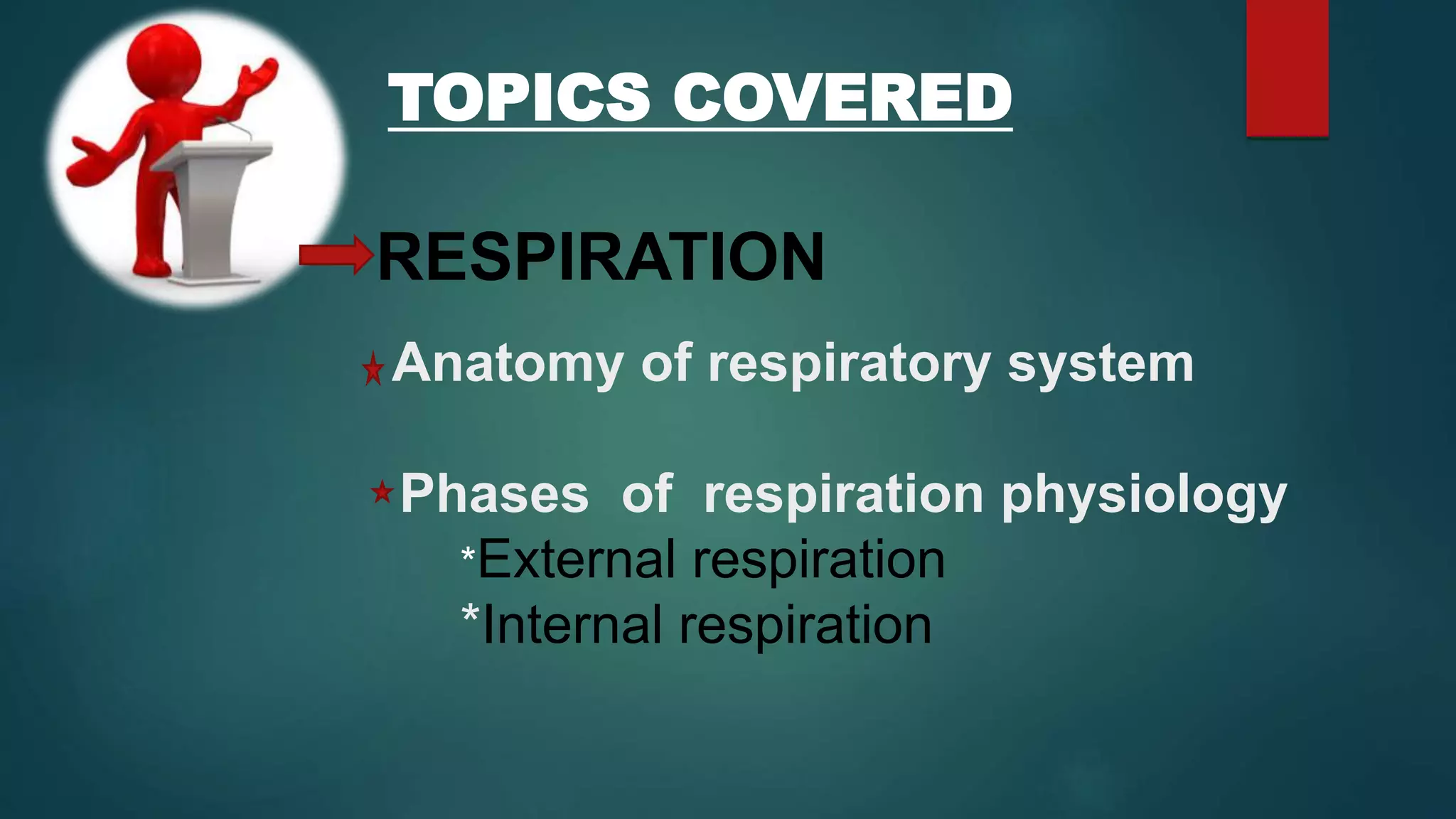 Animal Physiology (Respiration) | PPTX