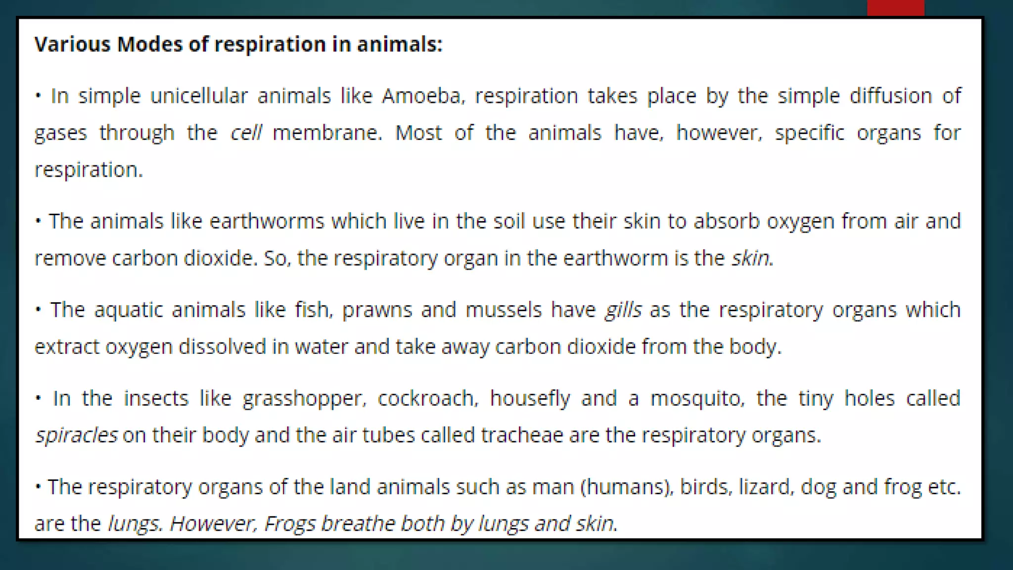 Animal Physiology (Respiration) | PPTX | Ear, Nose and Throat ...