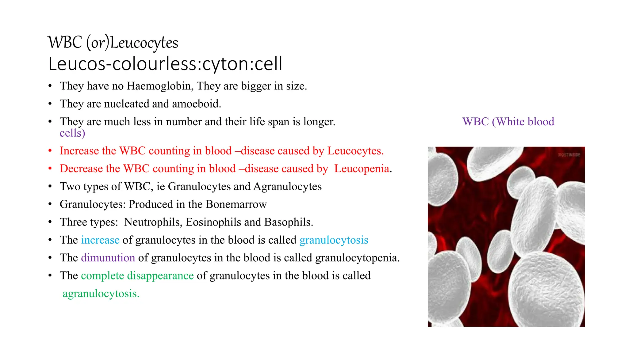 ANIMAL PHYSIOLOGY, The Blood-RBC ,WBC and Platelets Function | PPTX ...