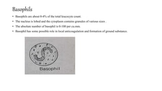 ANIMAL PHYSIOLOGY, The Blood-RBC ,WBC and Platelets Function | PPTX ...