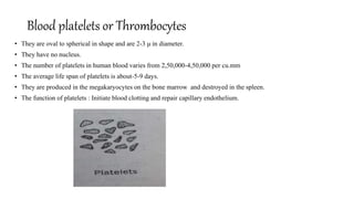 ANIMAL PHYSIOLOGY, The Blood-RBC ,WBC and Platelets Function | PPTX ...