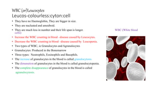 ANIMAL PHYSIOLOGY, The Blood-RBC ,WBC and Platelets Function | PPTX ...