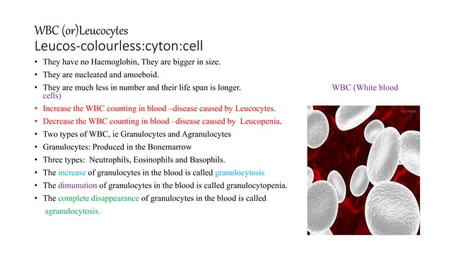 ANIMAL PHYSIOLOGY, The Blood-RBC ,WBC and Platelets Function | PPTX | Blood Disorders | Diseases ...