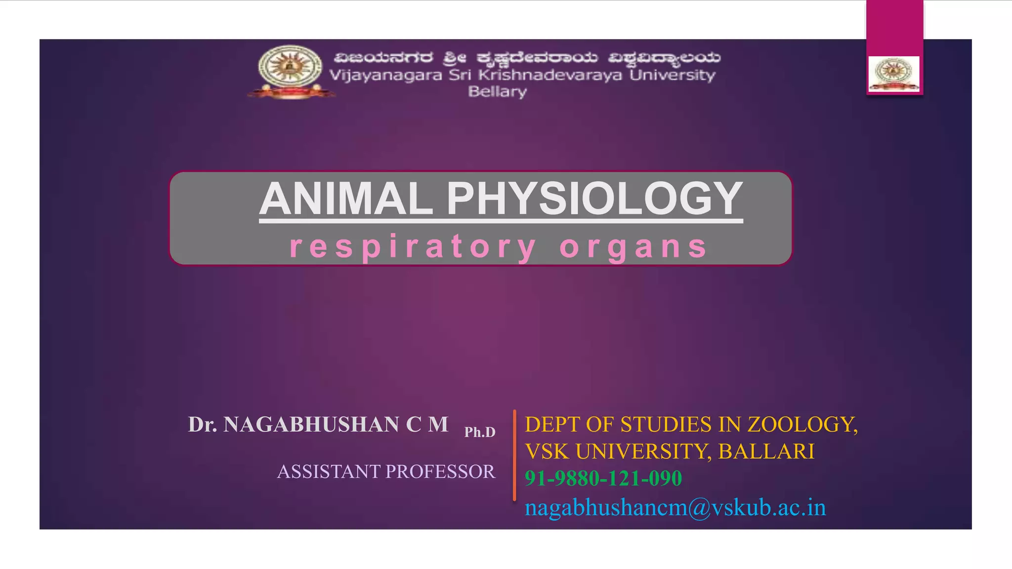 Animal physiology respiration | PPT