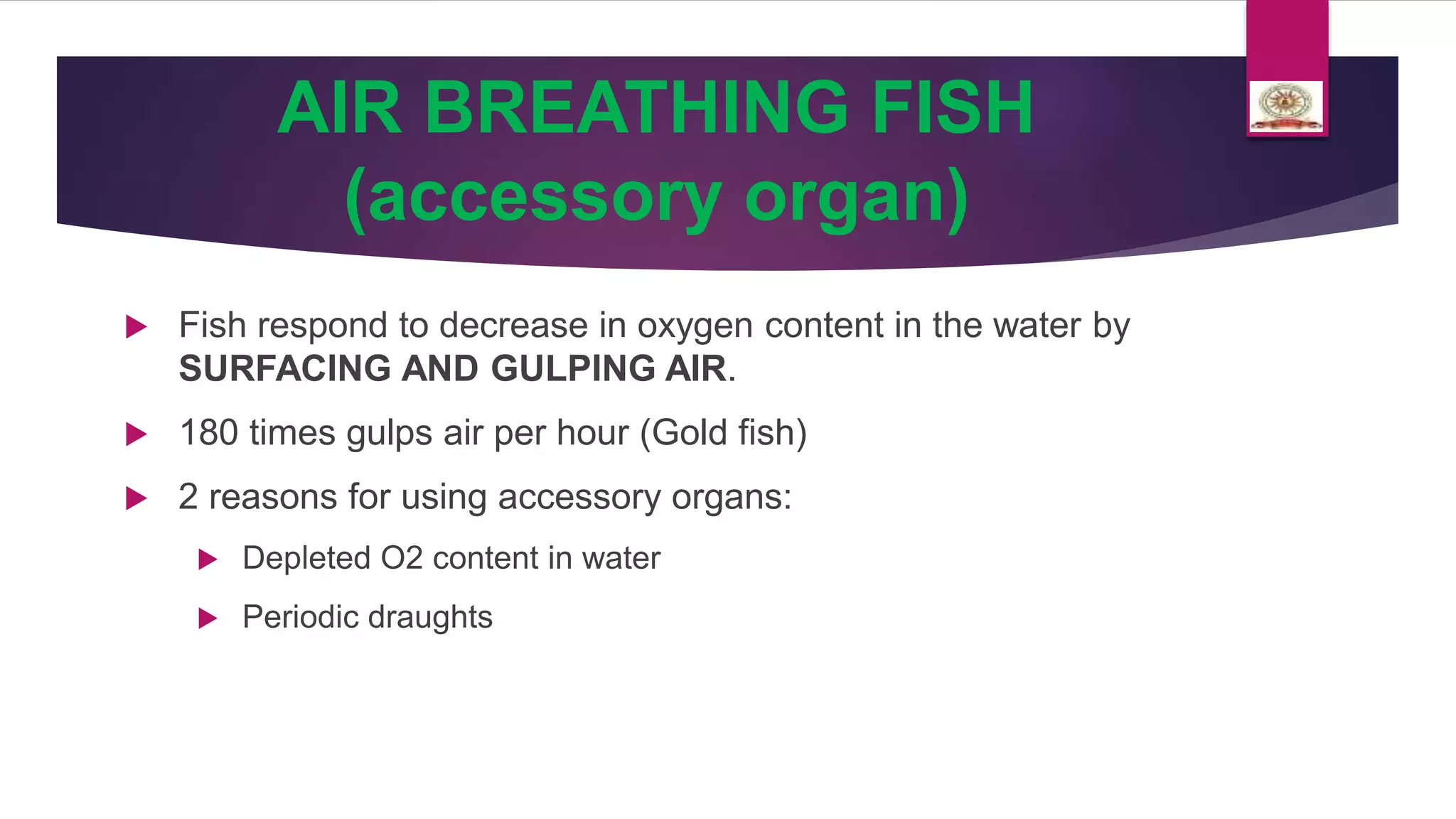 Animal physiology respiration | PPT