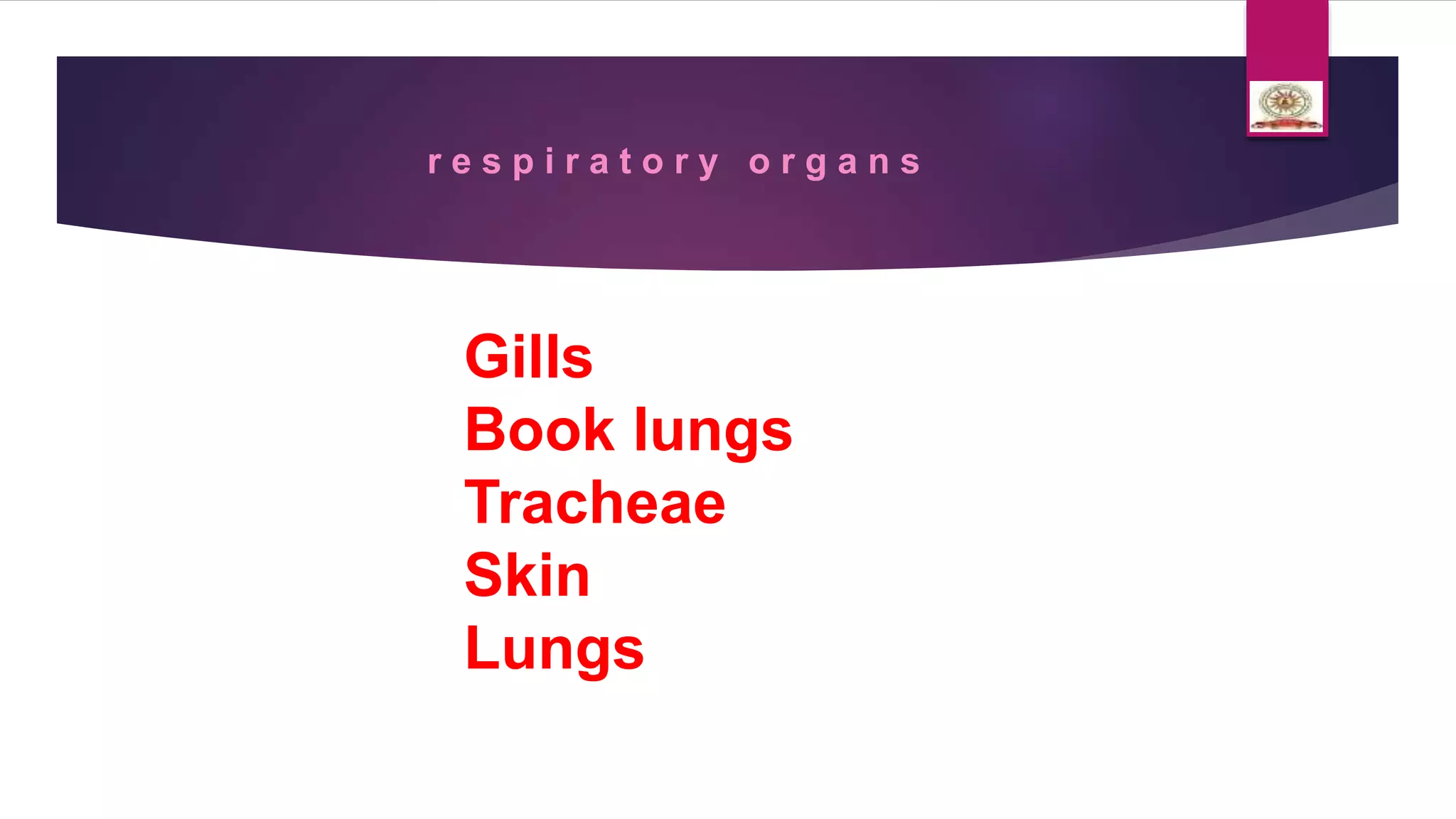 Animal physiology respiration | PPT