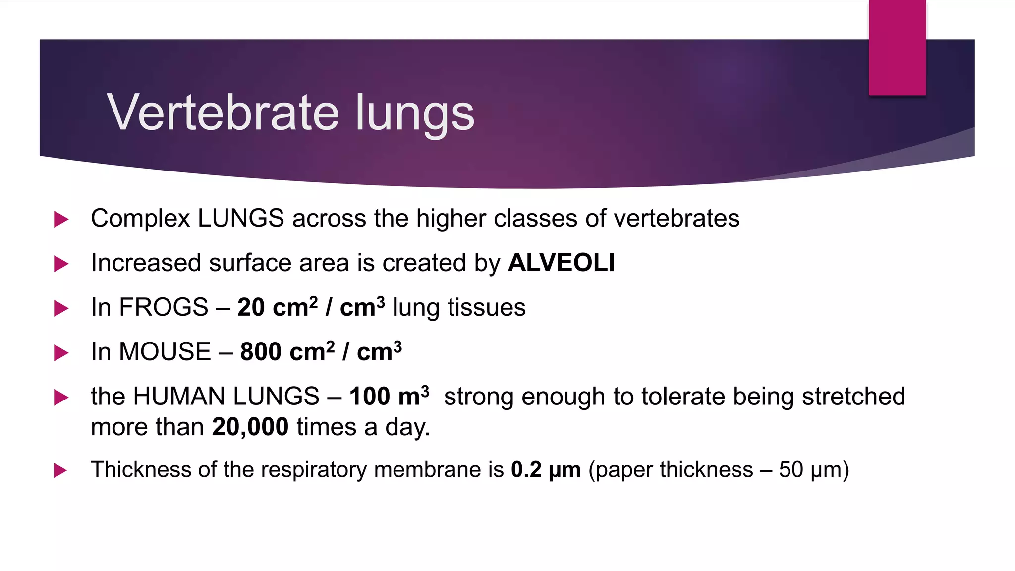 Animal physiology respiration | PPT