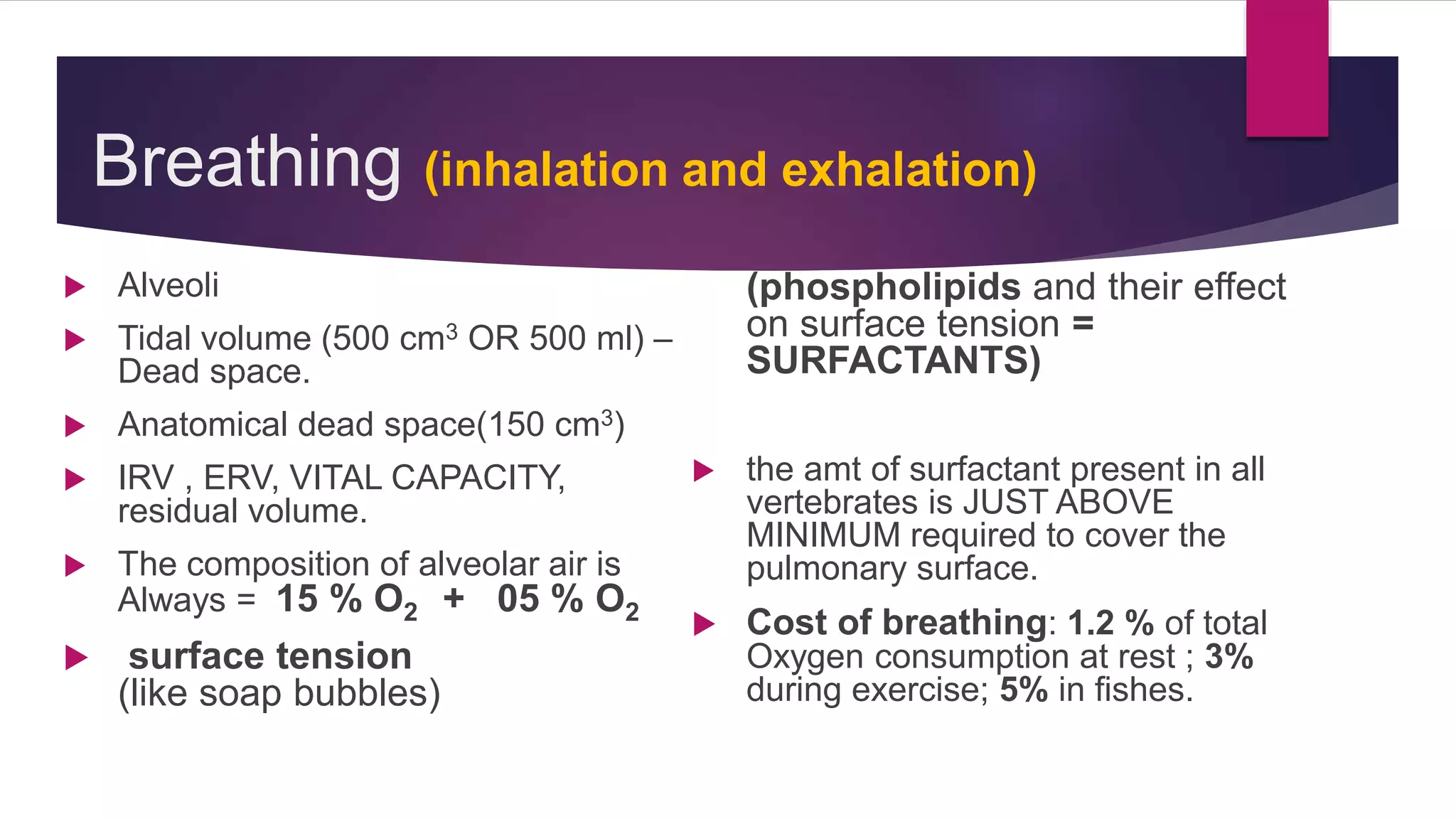 Animal physiology respiration | PPT