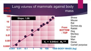 Animal physiology respiration | PPTX