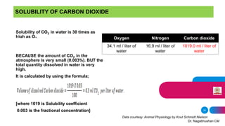 Animal physiology vapour and solubility of gases | PPT