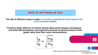 Animal physiology vapour and solubility of gases | PPT