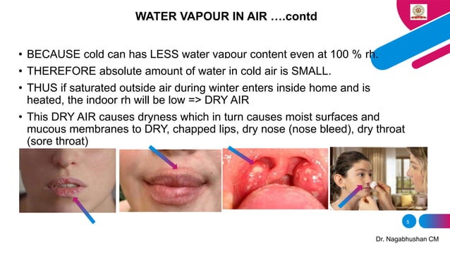 Animal physiology vapour and solubility of gases | PPT