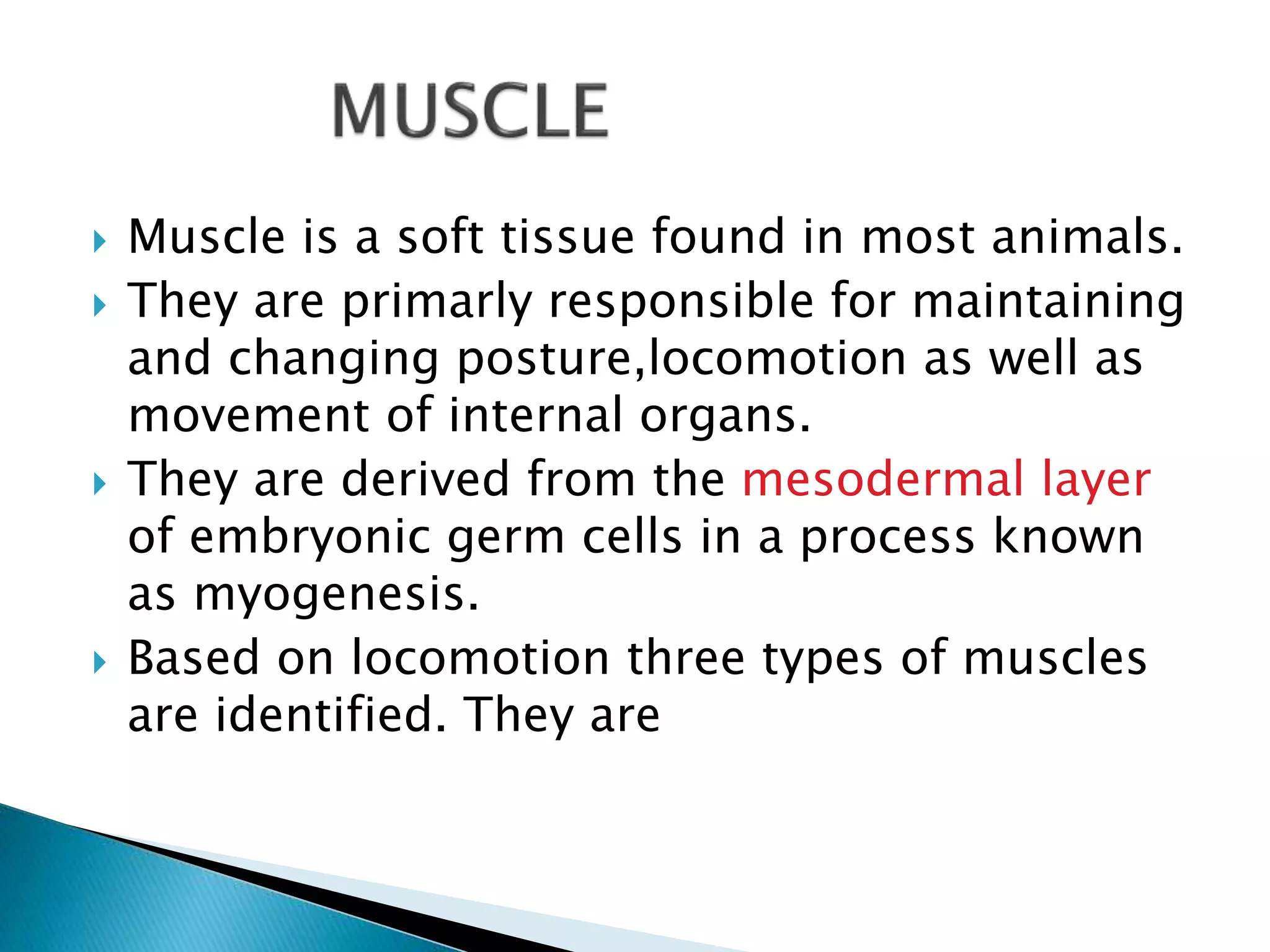 Animal physiology and anatomy muscular system | PPTX
