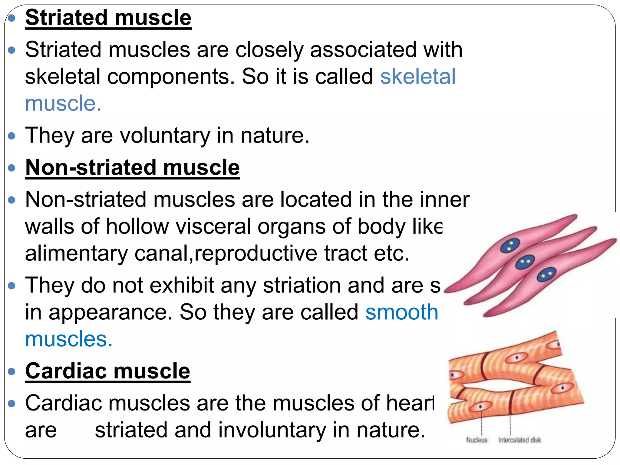 Animal physiology and anatomy muscular system | PPTX