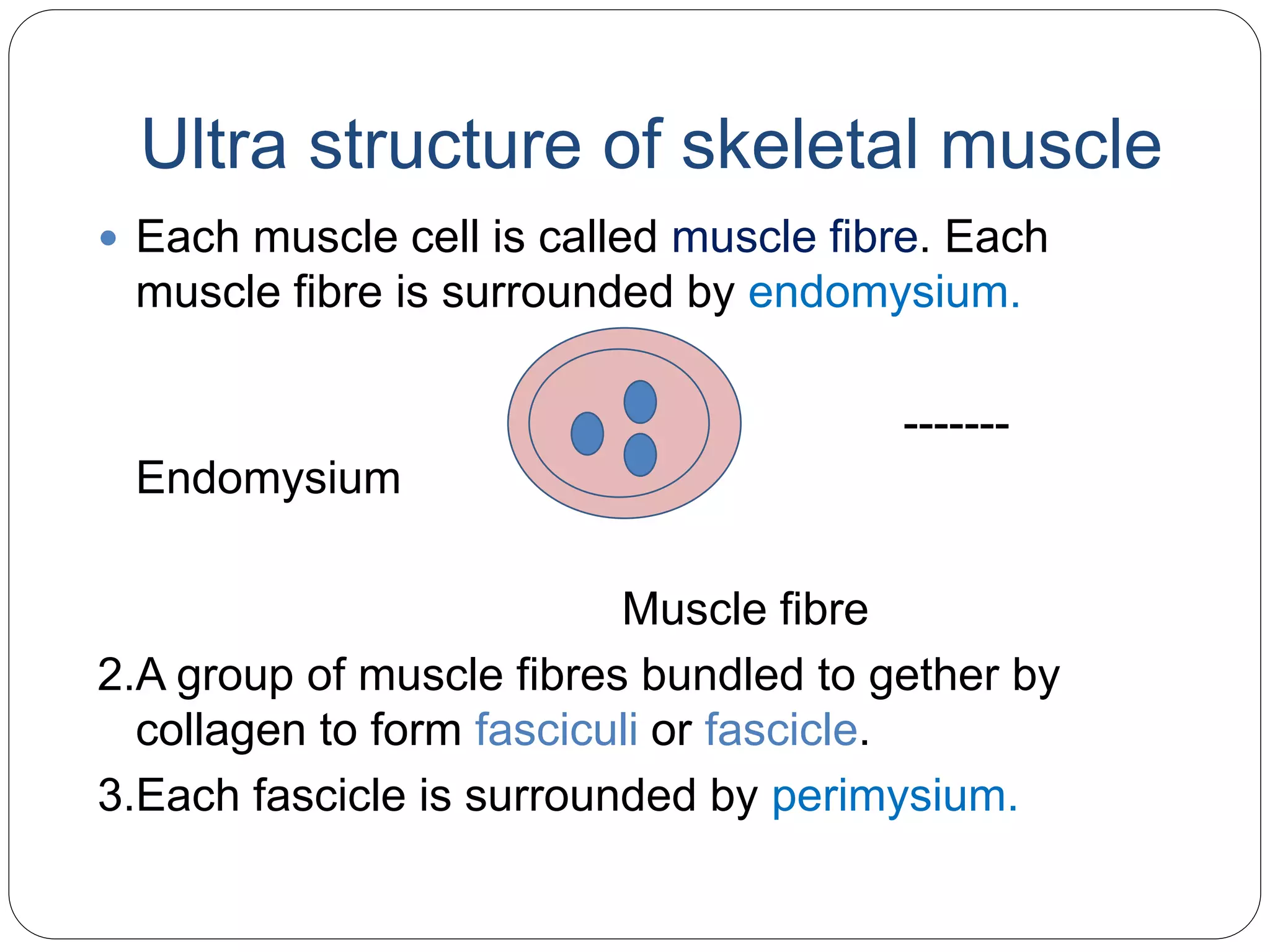 Animal physiology and anatomy muscular system | PPTX